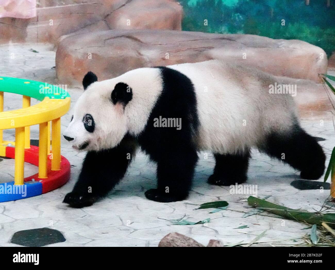 Ji lan hi-res stock photography and images - Alamy