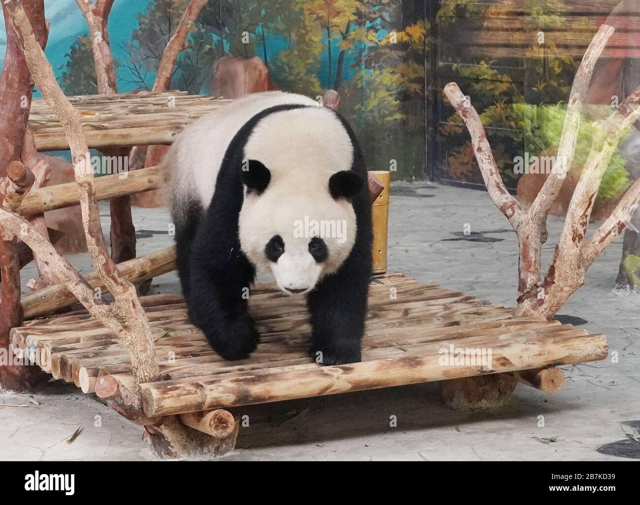 Ji lan hi-res stock photography and images - Alamy