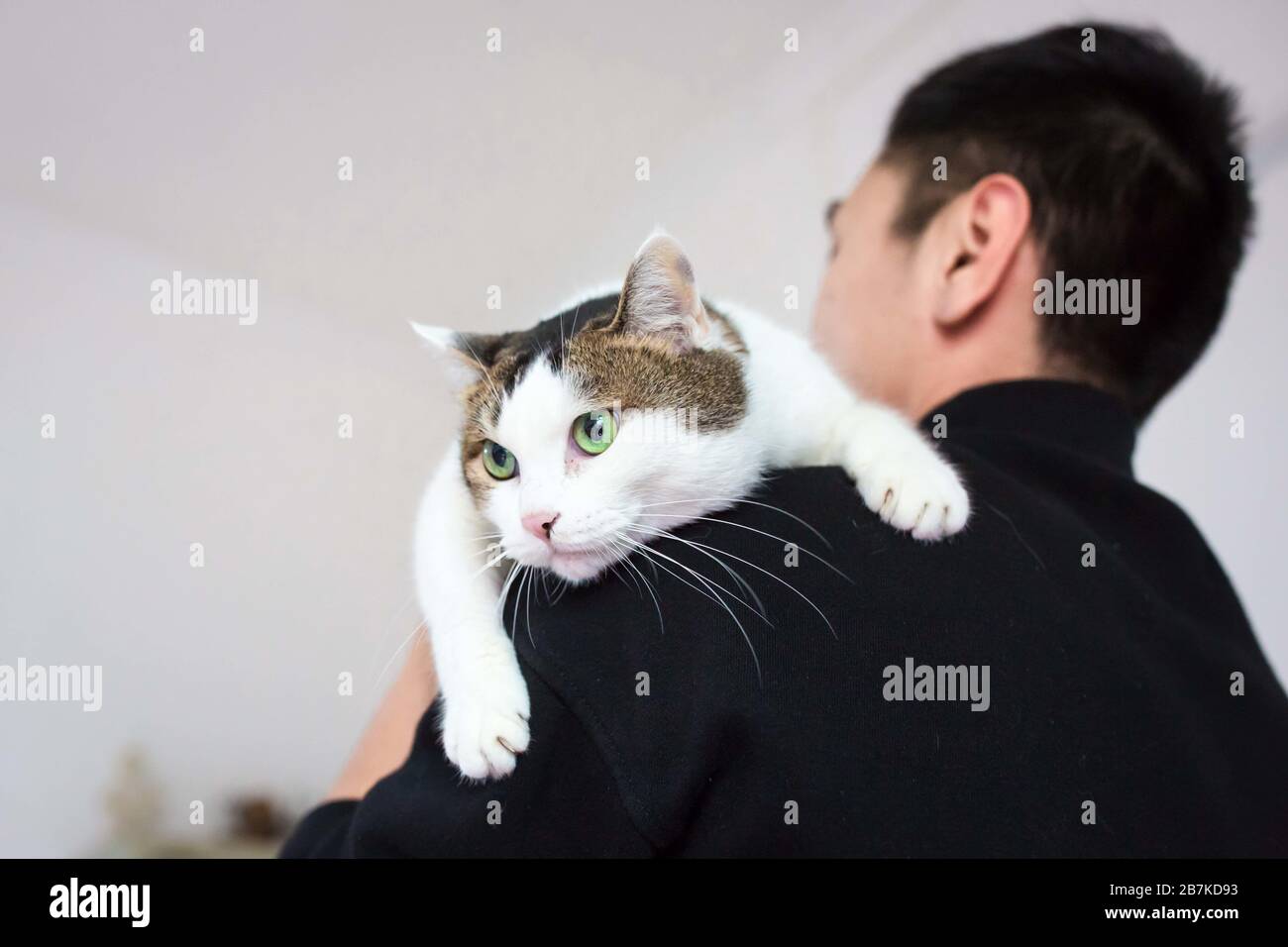 --File--A Chinese man is pictured holding a cat at home in Guangzhou ...