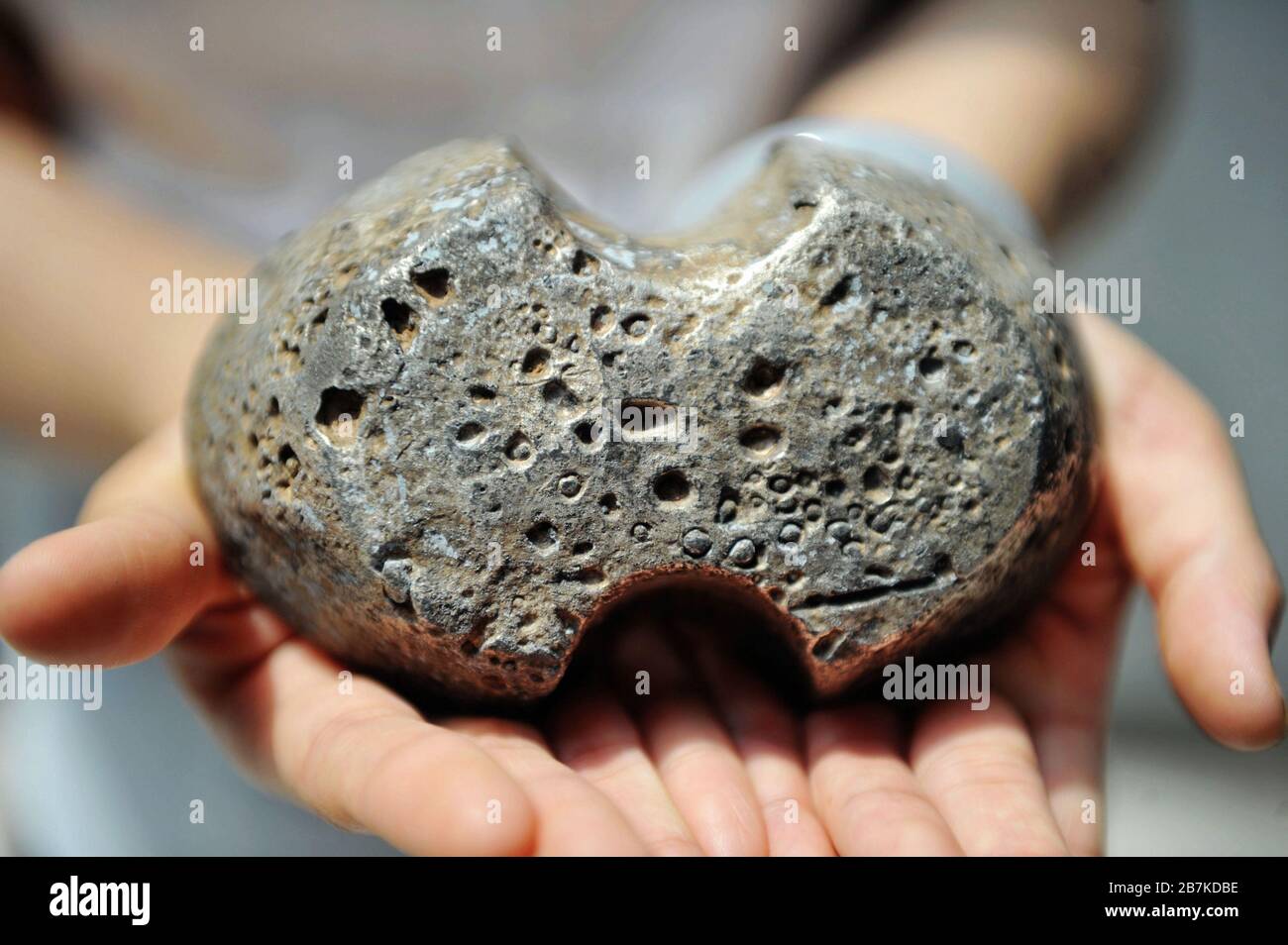 An ancient Chinese silver ingot or sycee of Ming Dynasty is on display ...