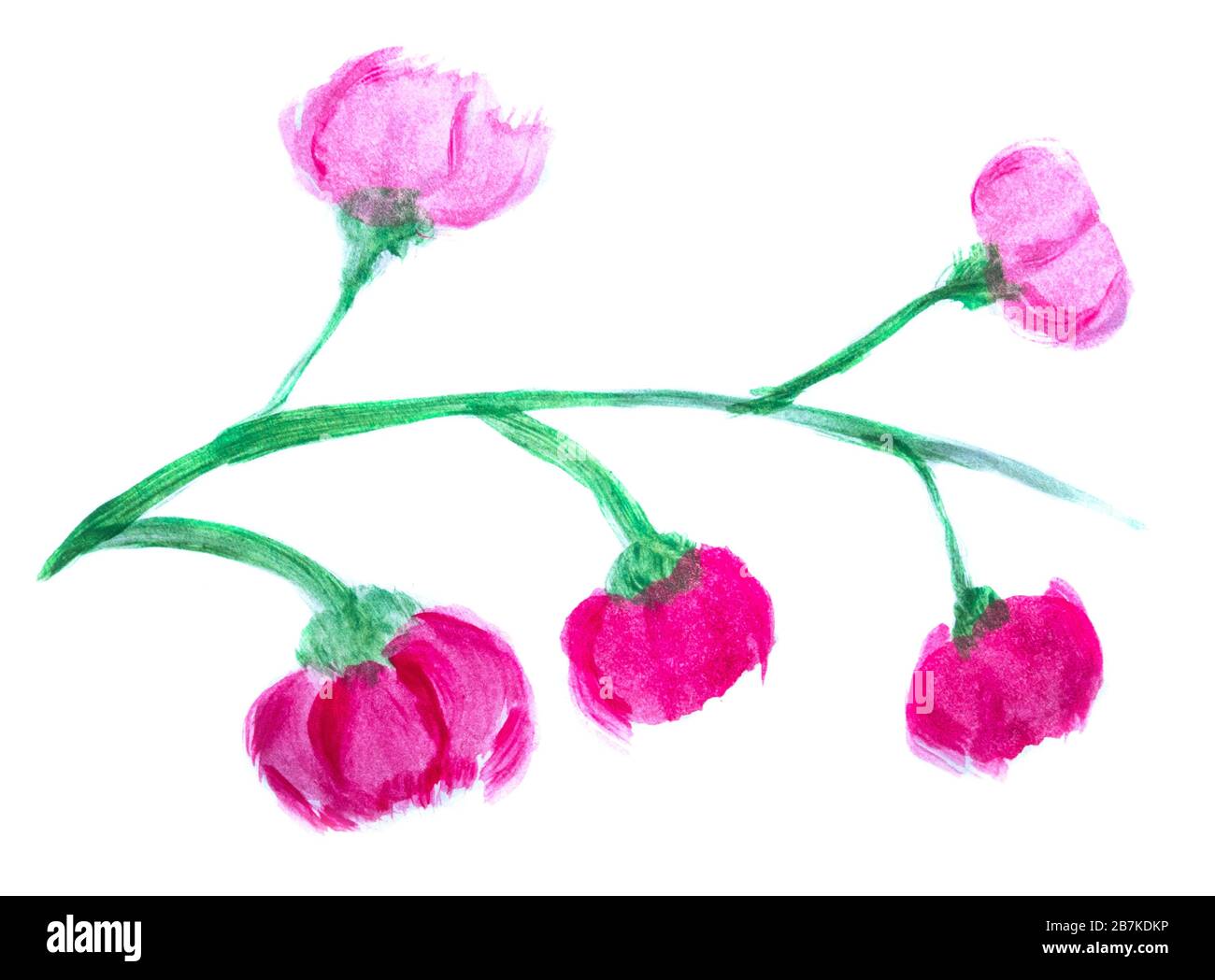 Drawing a flower with gouache Stock Photo - Alamy