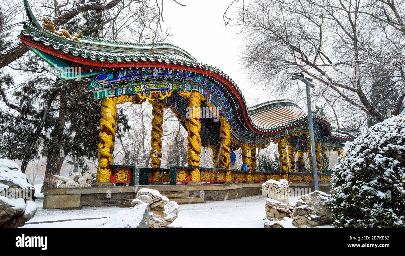 View of Longtan Park during the first snowfall of the Year of the Rat ...