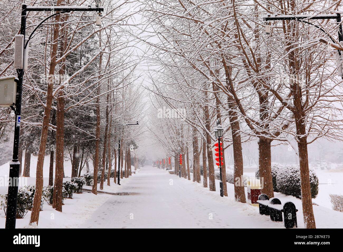 The view of the very first snow of year of rat covering the Old Summer ...