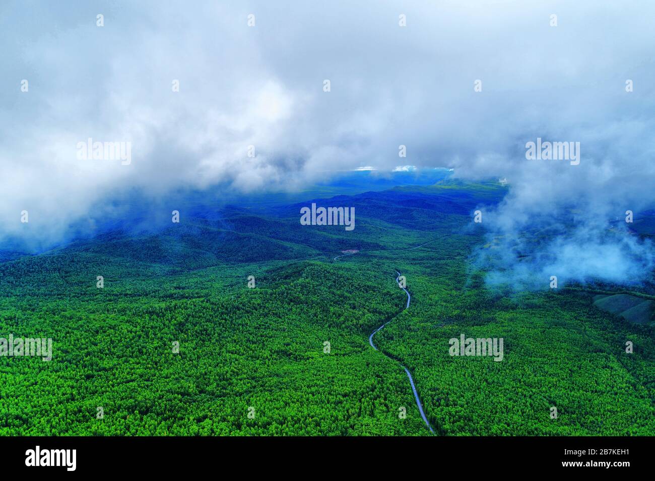 --File--Aerial view of Daxing'anling Forest enveloped by cloud sea in ...