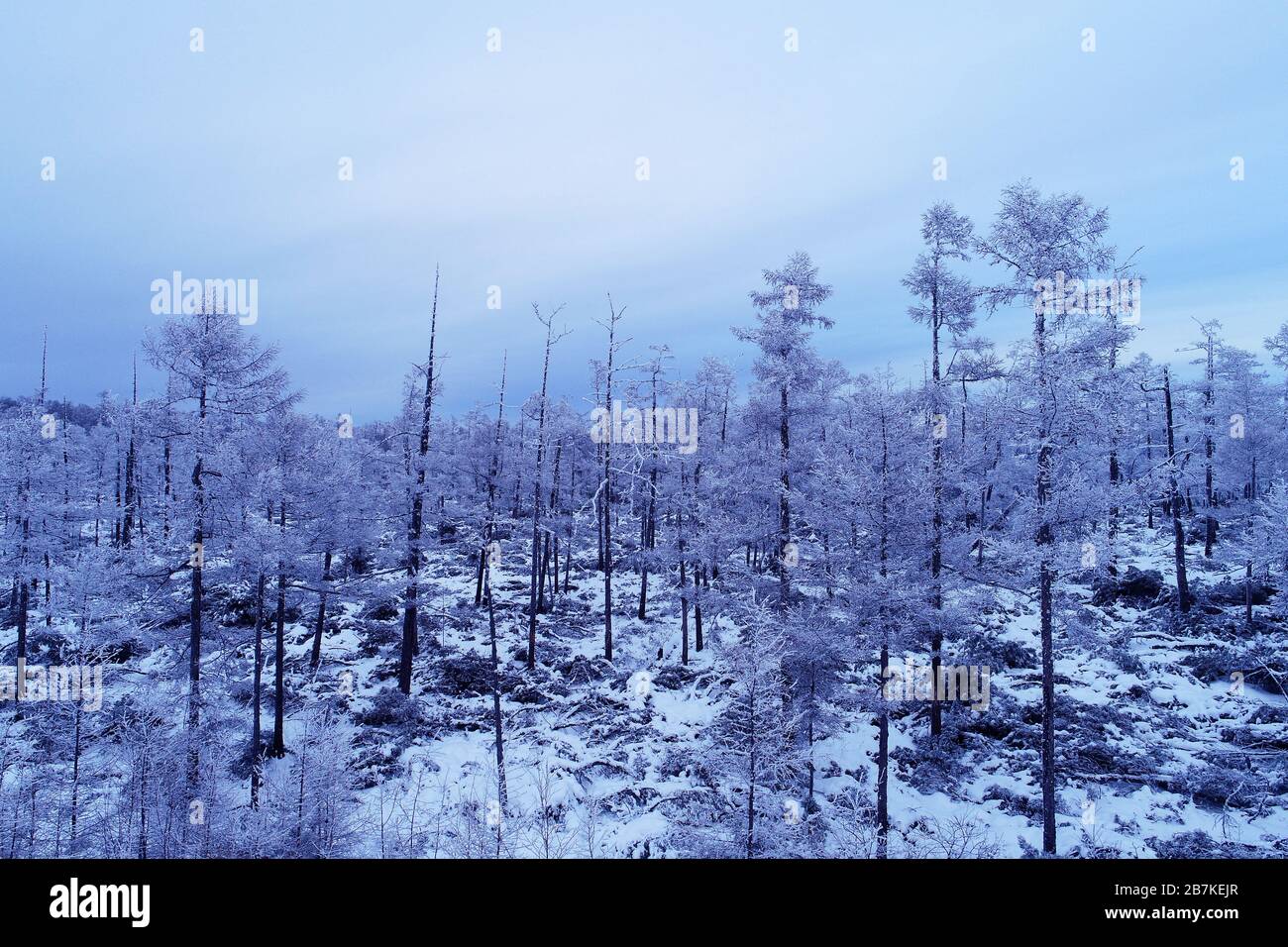 Da hinggan ling hi-res stock photography and images - Alamy