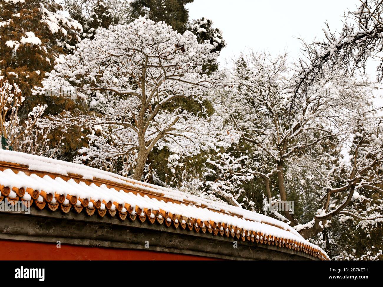 --File--View of the Forbidden City covered by snow in Beijing, China, 6 ...