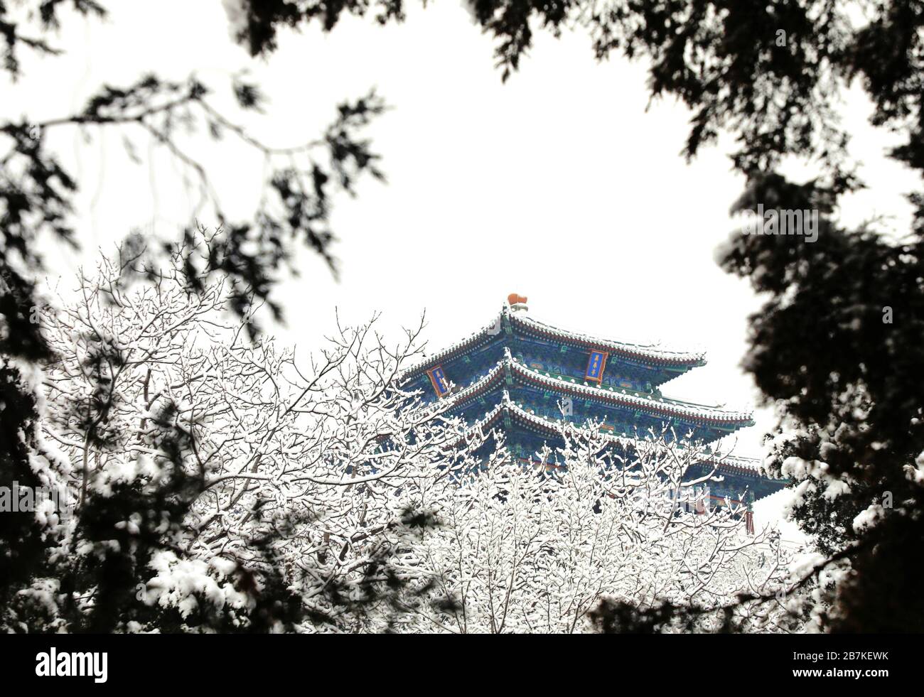--File--View of the Forbidden City covered by snow in Beijing, China, 6 ...