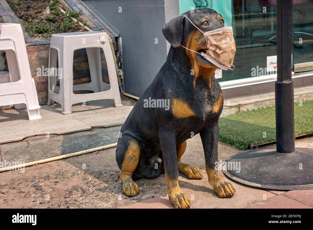 The mask dog hi-res stock photography and images - Alamy