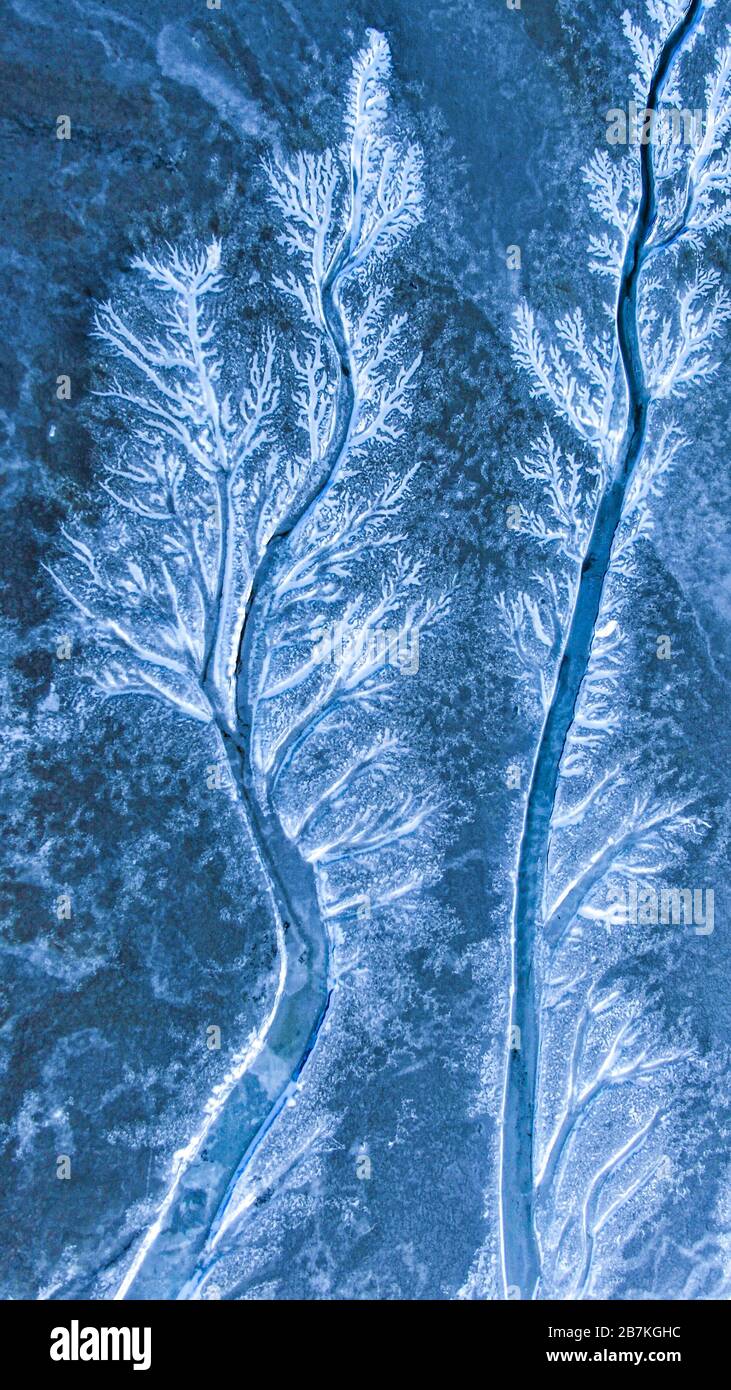 Aerial view of giant "ice trees" created by sea tide and freezing ...