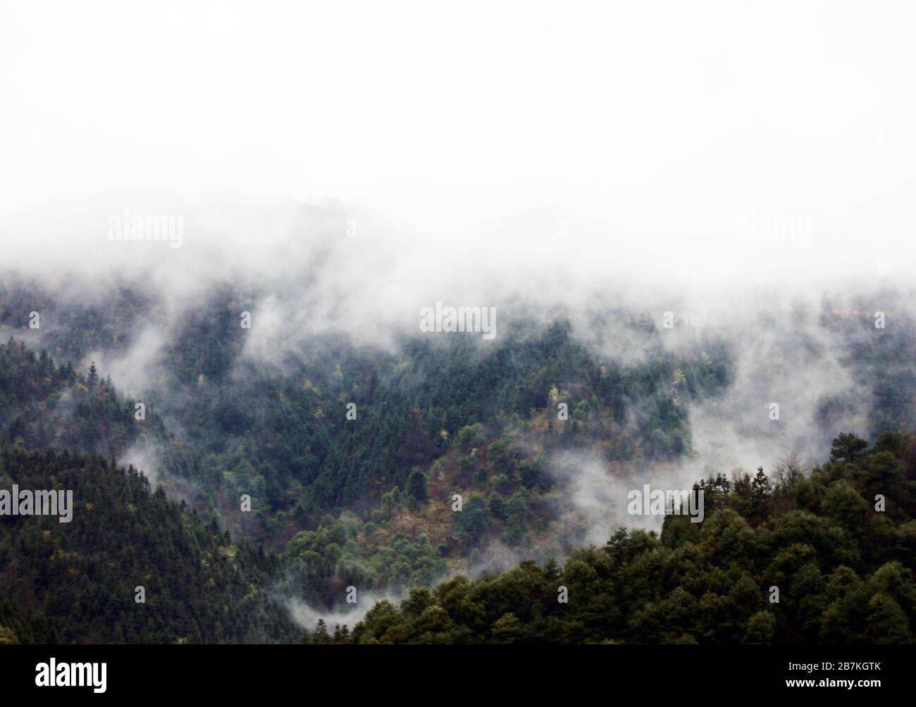 A view of houses standing in fog after rain during Spring Festival ...