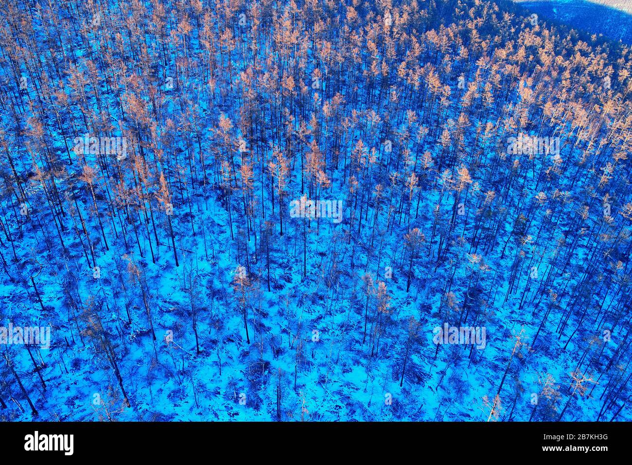 Da hinggan ling hi-res stock photography and images - Alamy