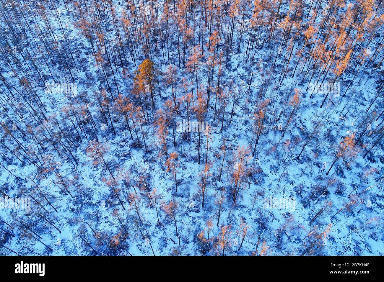 Da hinggan ling hi-res stock photography and images - Alamy