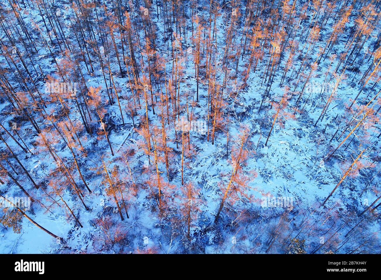 Da hinggan ling hi-res stock photography and images - Alamy