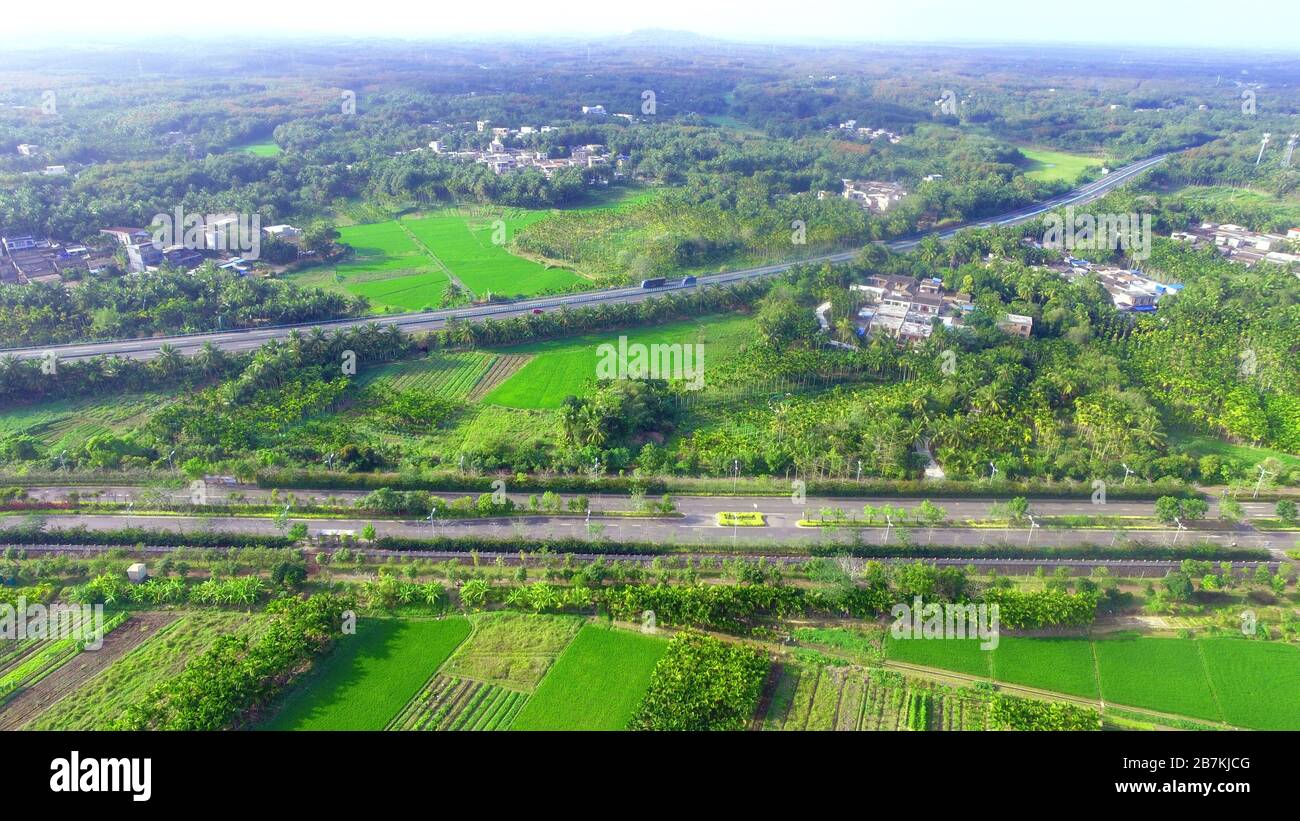 Aerial view of the land turning green in Qionghai city, south China's ...