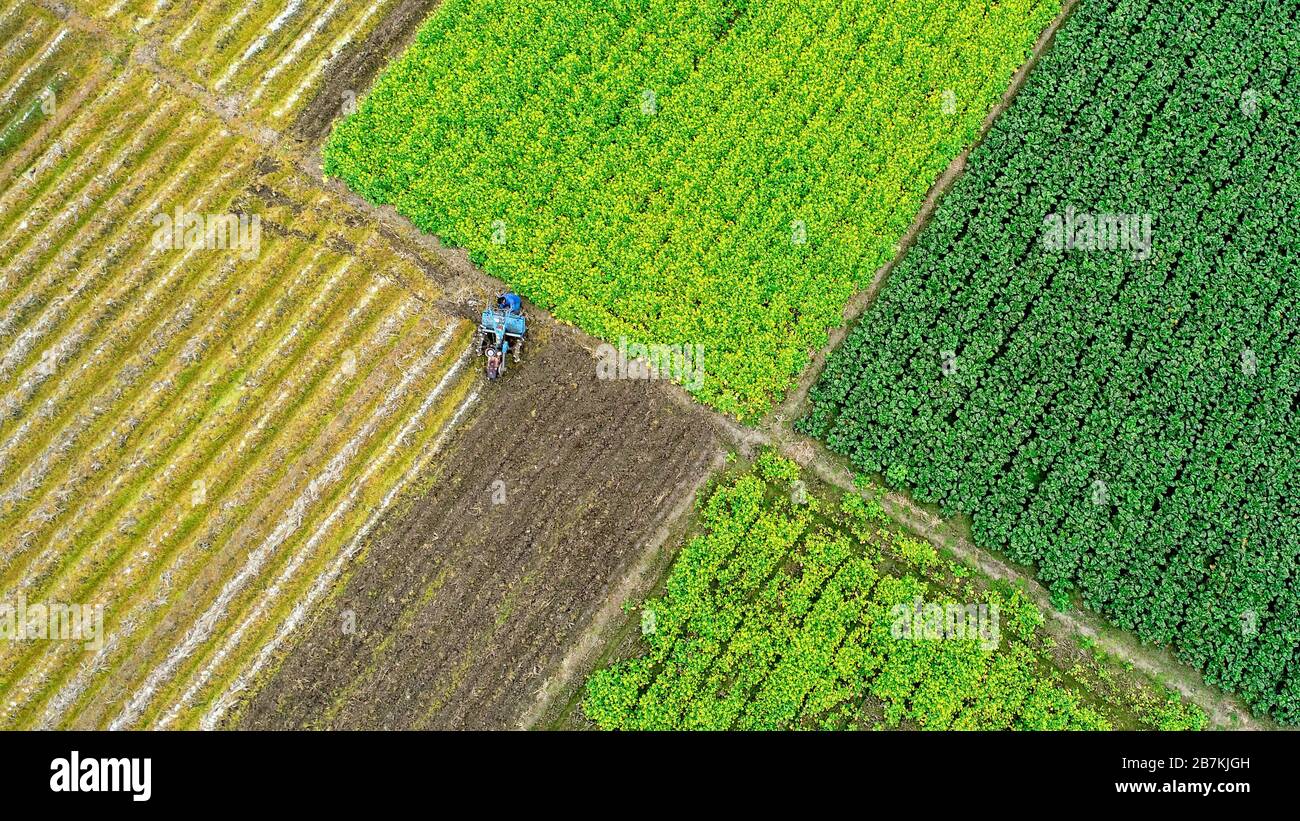 China agriculture plough hi-res stock photography and images - Alamy