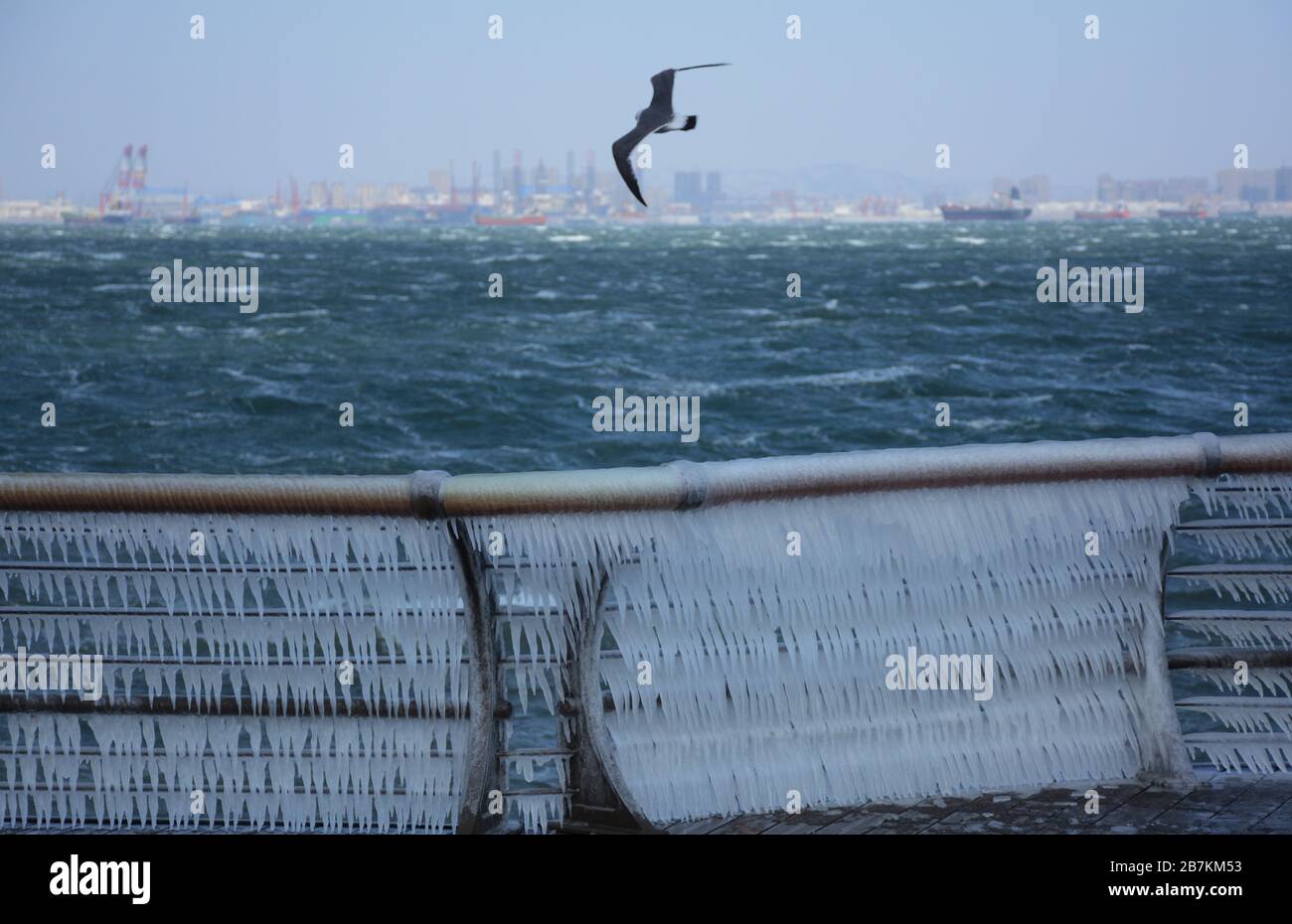 Due to gale and low temperature, ice appears and is hung at handrail at ...