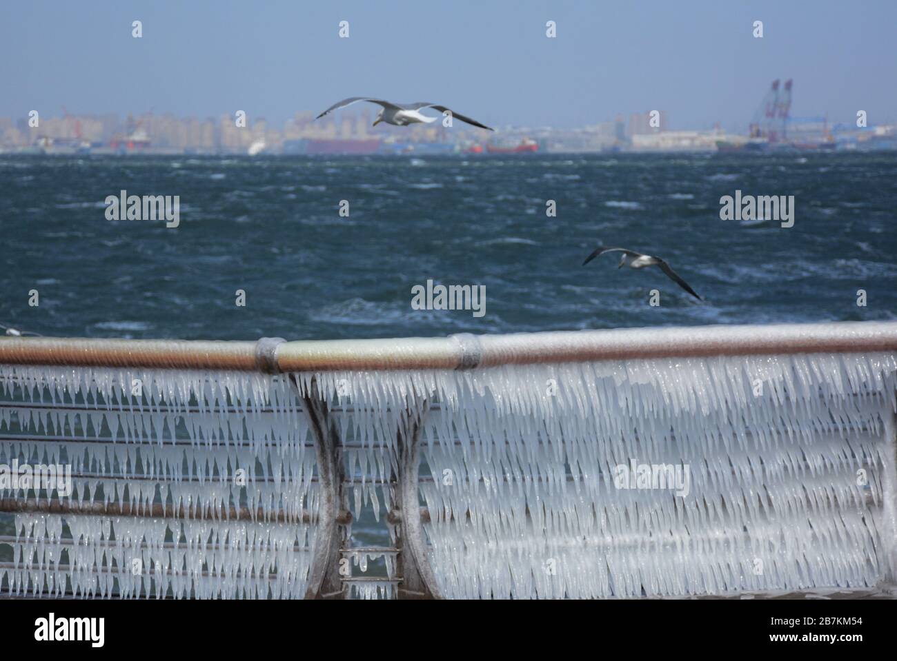 Due to gale and low temperature, ice appears and is hung at handrail at ...