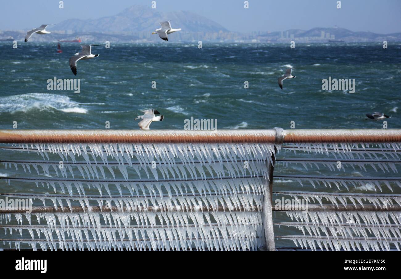 Due to gale and low temperature, ice appears and is hung at handrail at ...