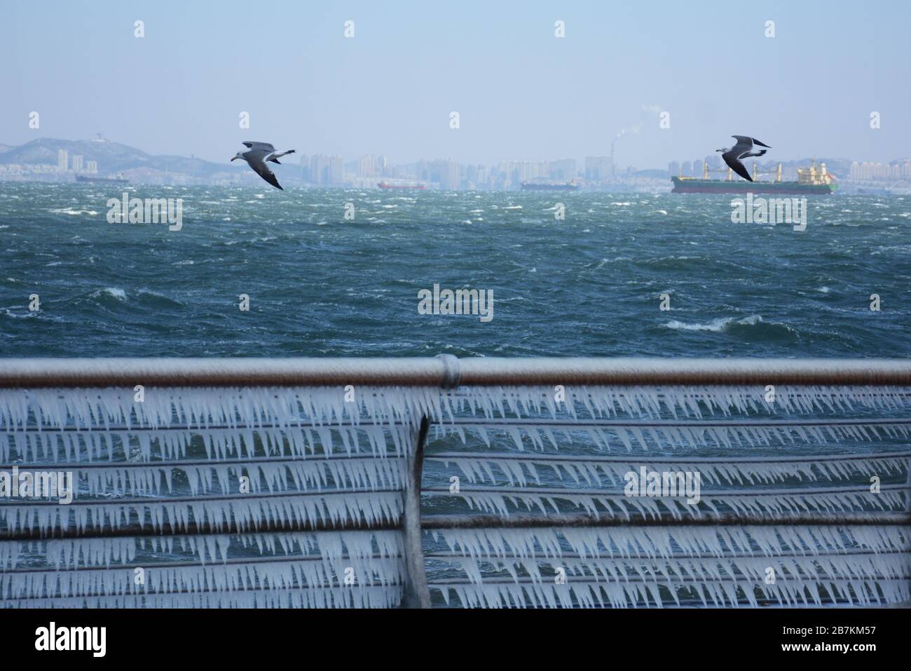 Due to gale and low temperature, ice appears and is hung at handrail at ...