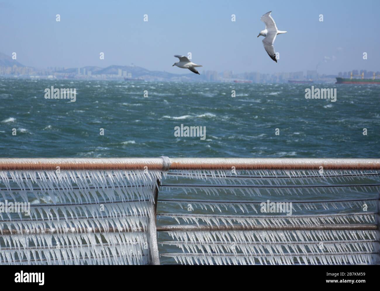 Due to gale and low temperature, ice appears and is hung at handrail at ...