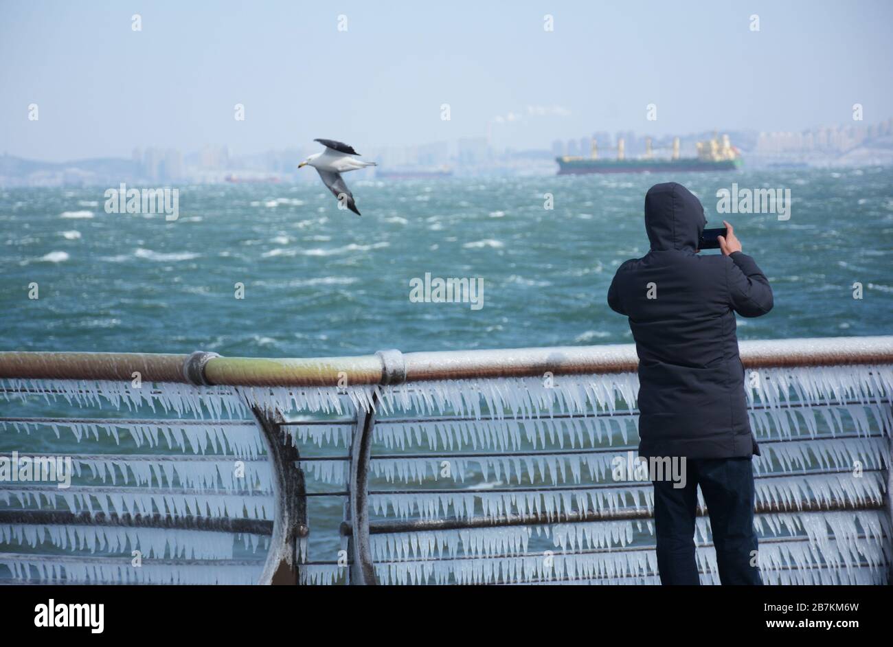 Due to gale and low temperature, ice appears and is hung at handrail at ...