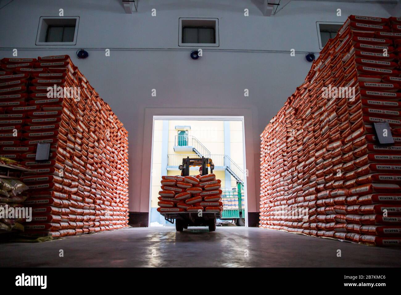 Labors work at a warehouse storing rice after long Spring Festival ...