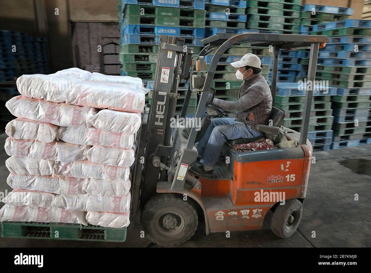 Bags of flour are stored at a warehouse of a flourmill with a long ...