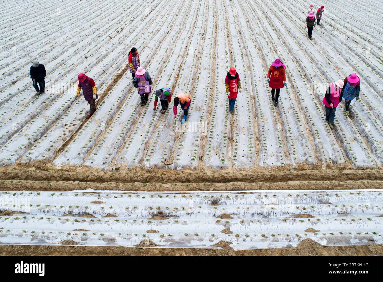 Seeding machines hi-res stock photography and images - Alamy