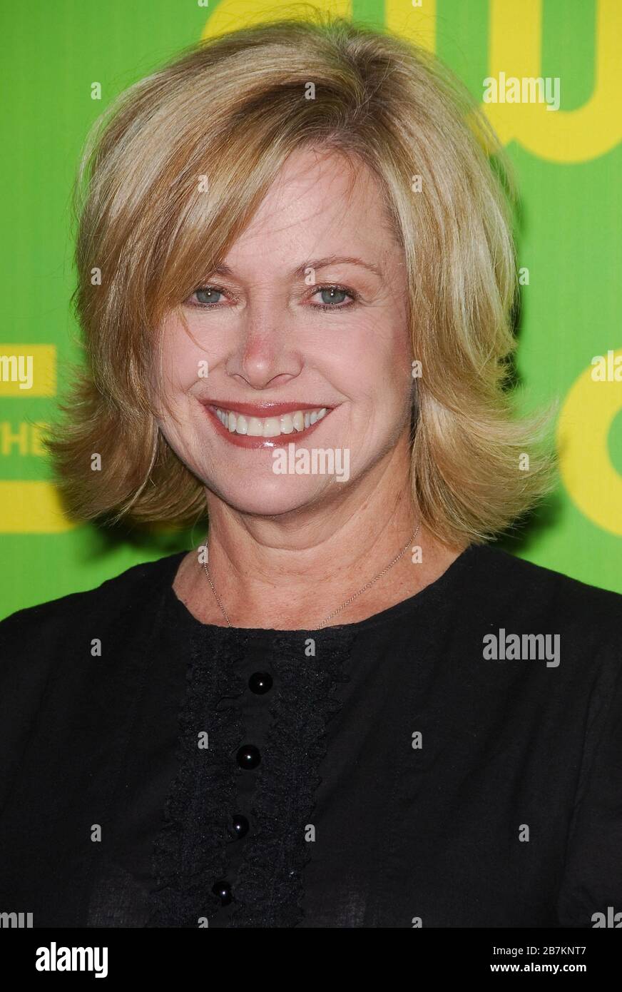 Catherine Hicks at The CW Network Launch Party held at the Warner Bros ...