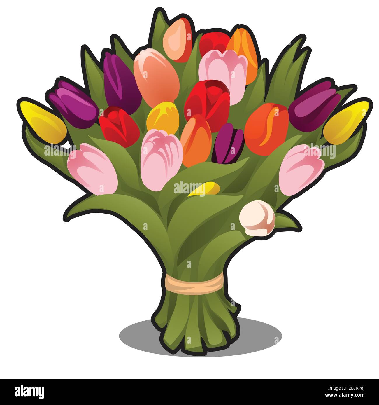 Bouquet of multicolored tulips isolated on white background. Vector ...
