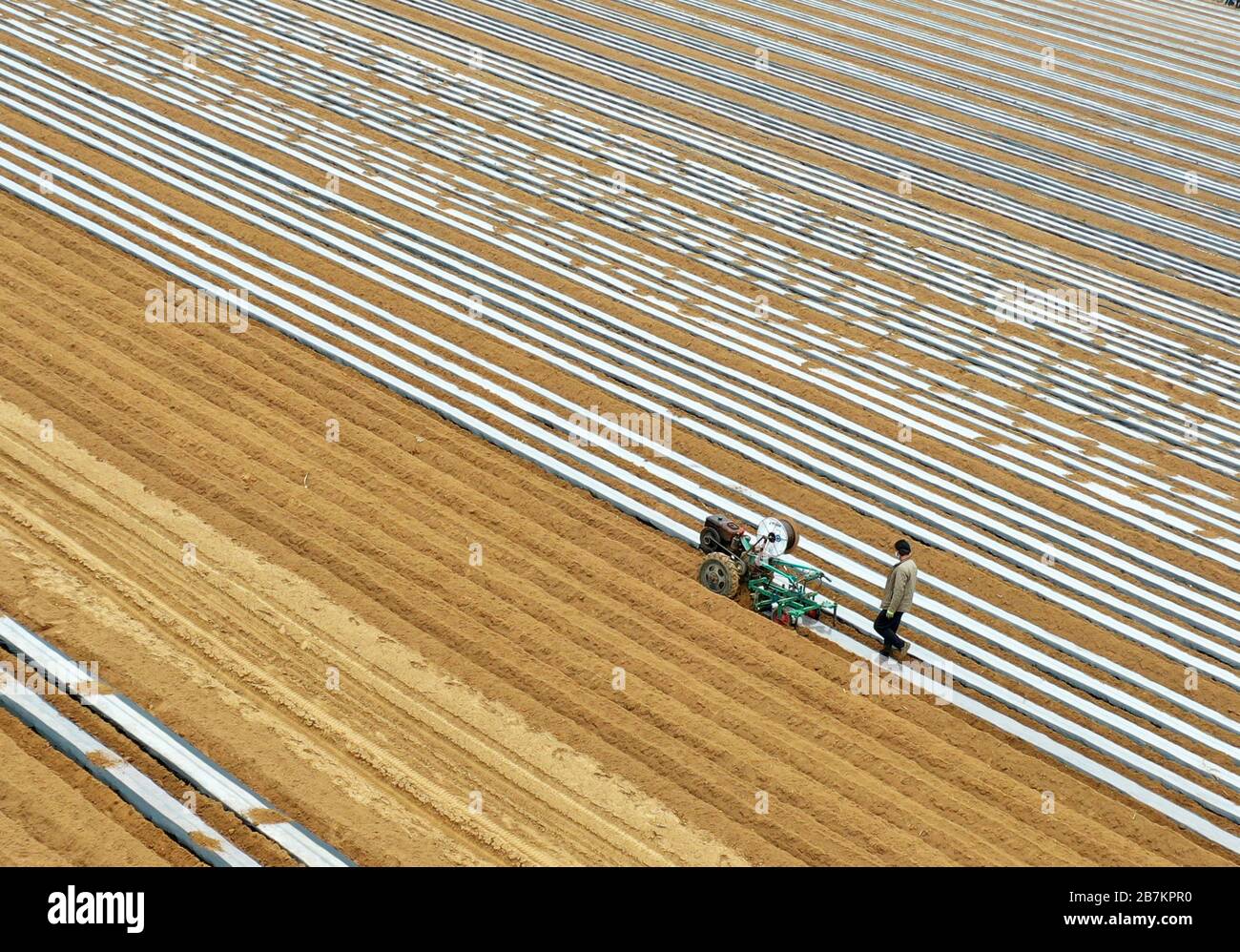 Potato farming china hi-res stock photography and images - Alamy