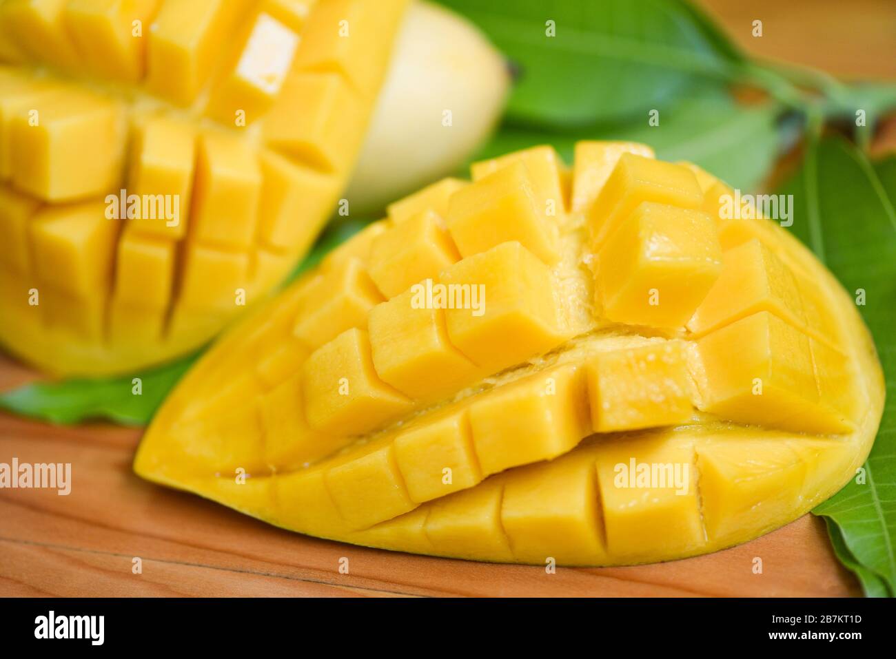 Cut mango from tree hi-res stock photography and images - Alamy