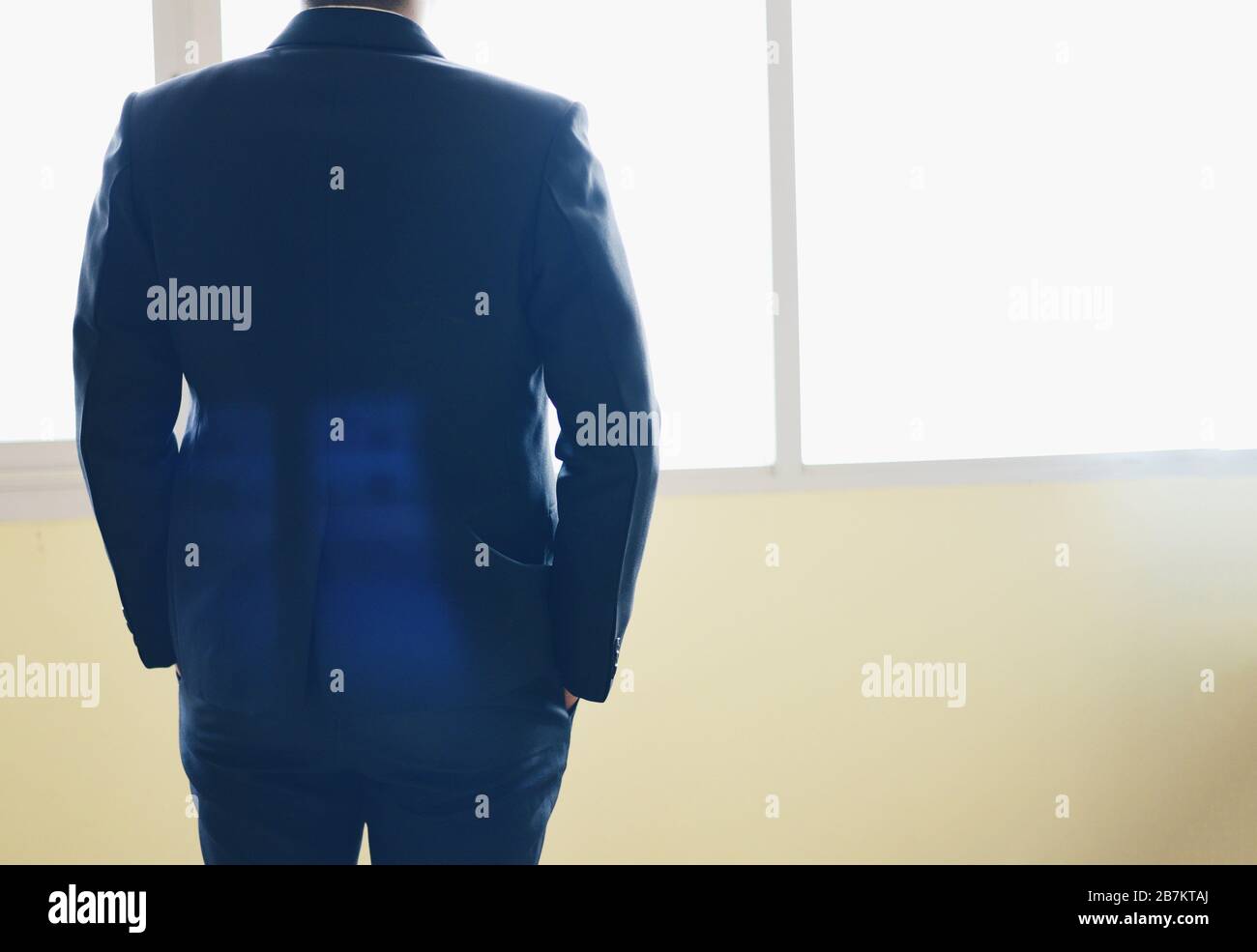 Business man standing and looking at window / Back view of successful ...