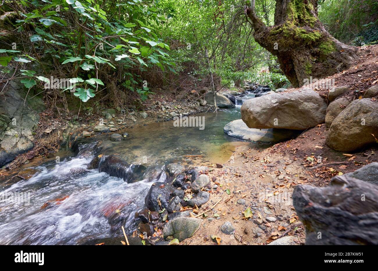 The walking path under the lush greenery along the river Clarios in the ...