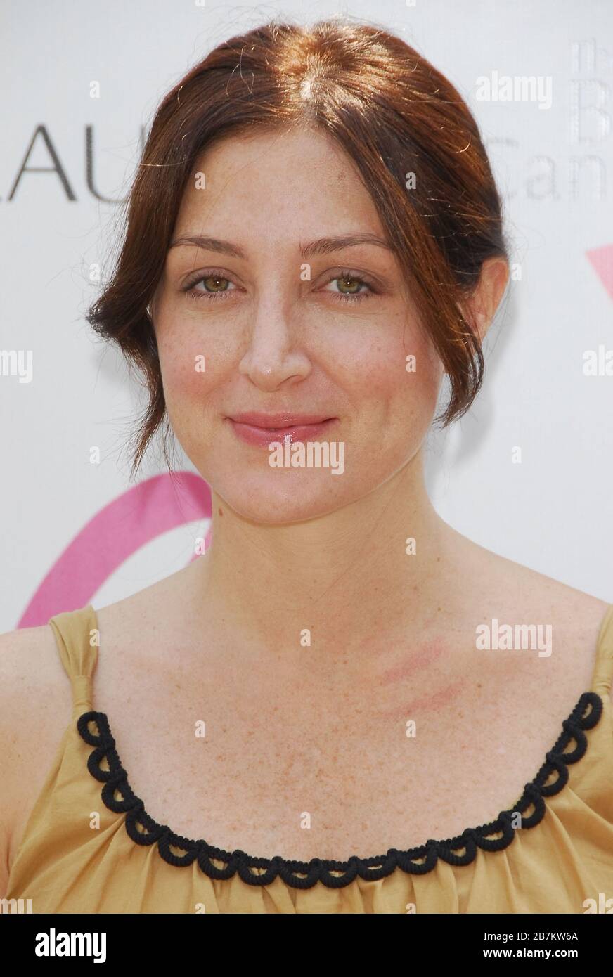 Sasha Alexander at the Aerin Lauder Hosts Luncheon in Honor of Gwyneth ...