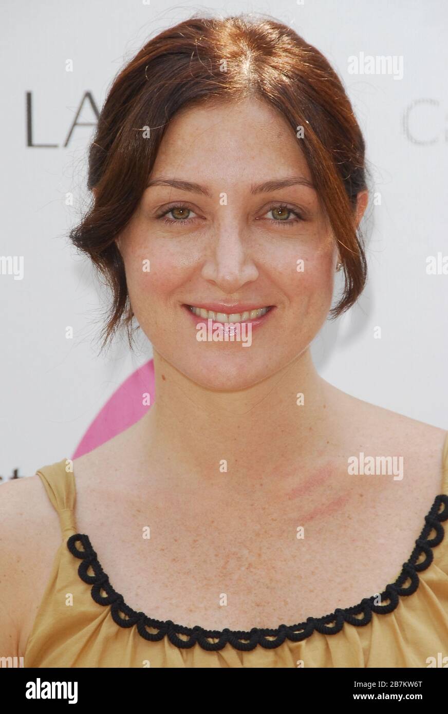 Sasha Alexander at the Aerin Lauder Hosts Luncheon in Honor of Gwyneth ...