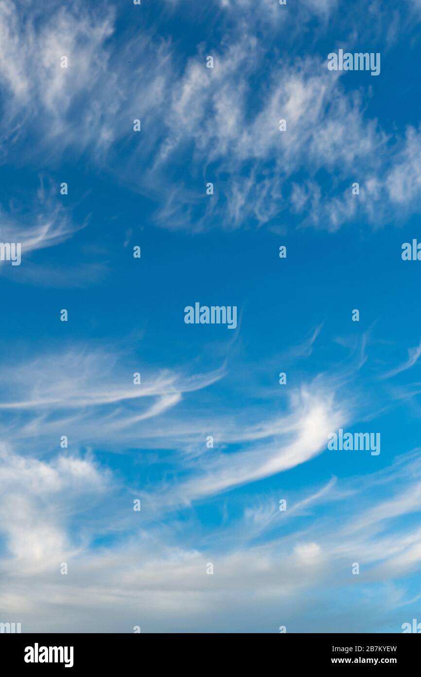 Cirrus is cloud stripe, white, feathery, ice crystal. Blue background ...