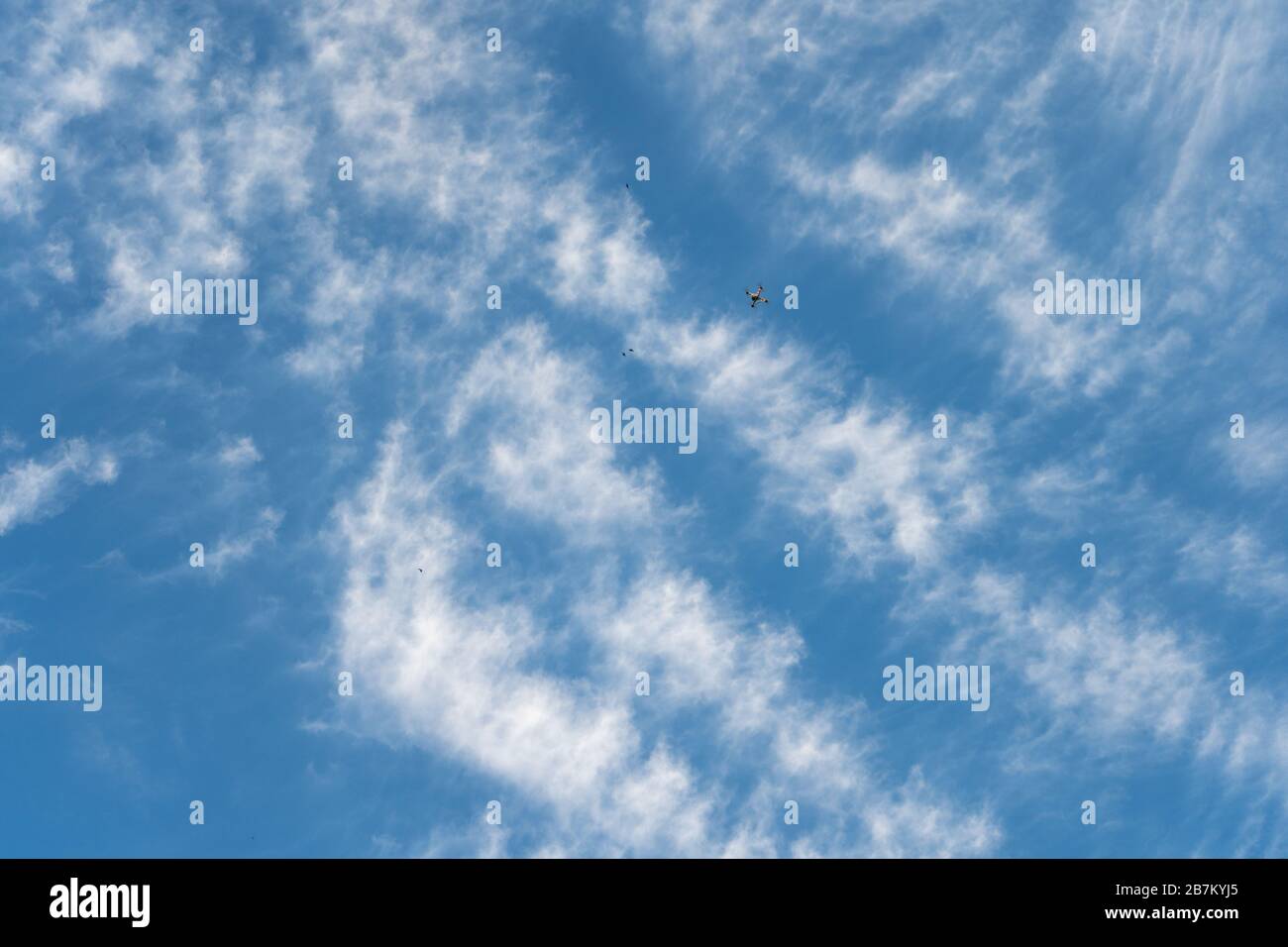 Cirrus is cloud stripe, white, feathery, ice crystal. Blue background ...