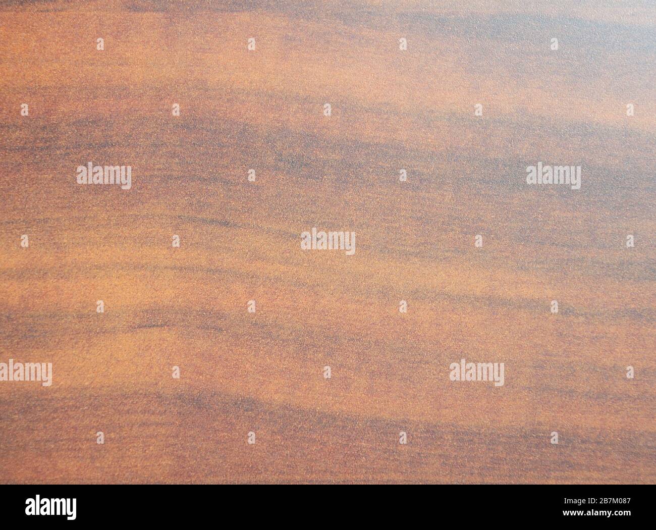 Dark alder, texture of the natural pattern of wood on a saw close-up ...