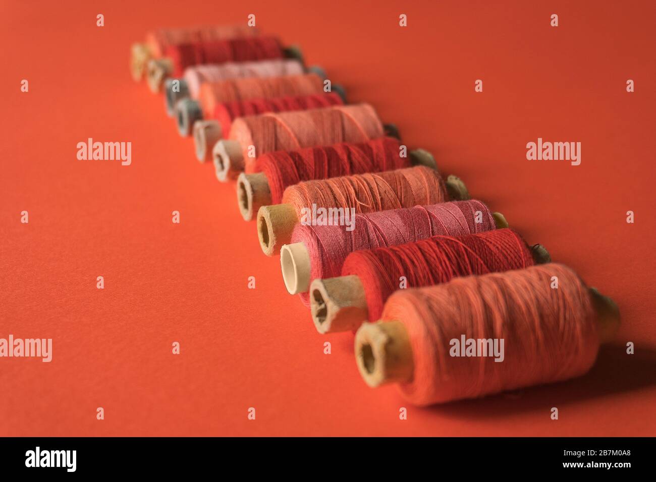 A coral spool of threads on coral paper background, with copy space ...