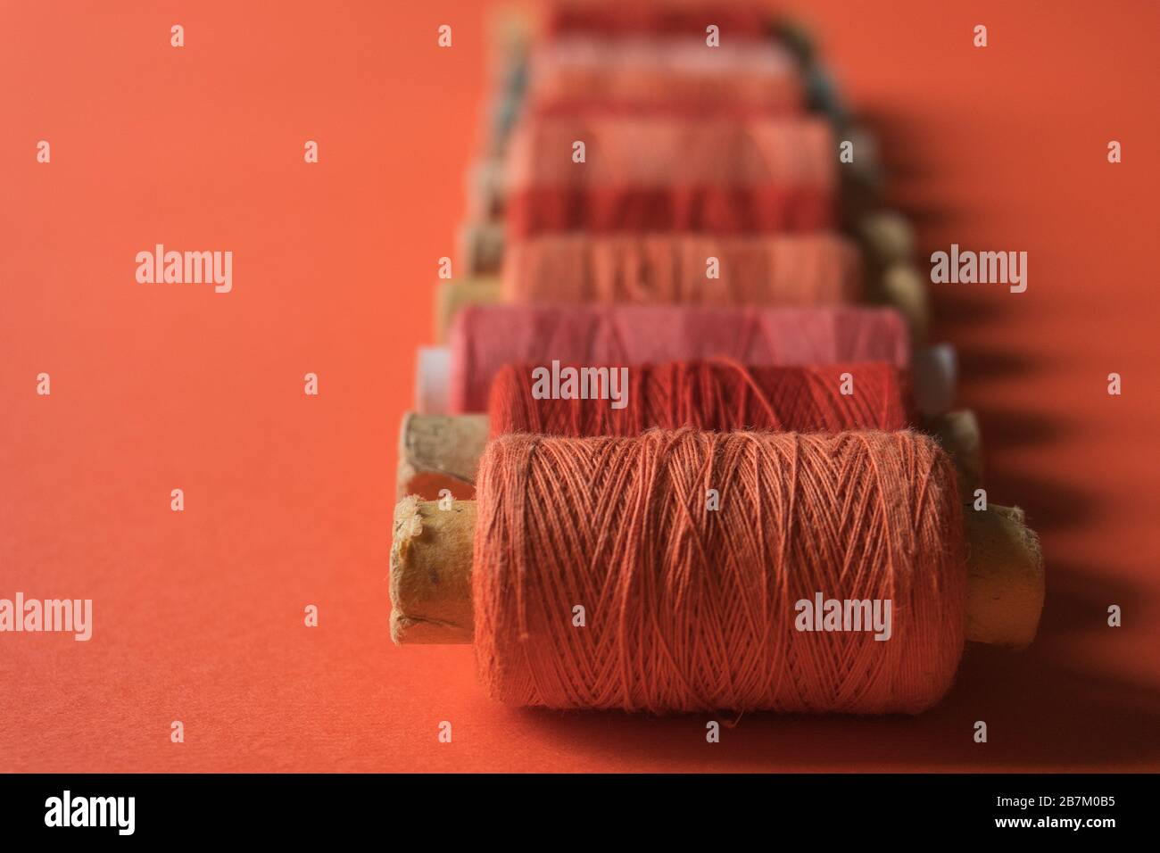A coral spool of threads on coral paper background, with copy space ...