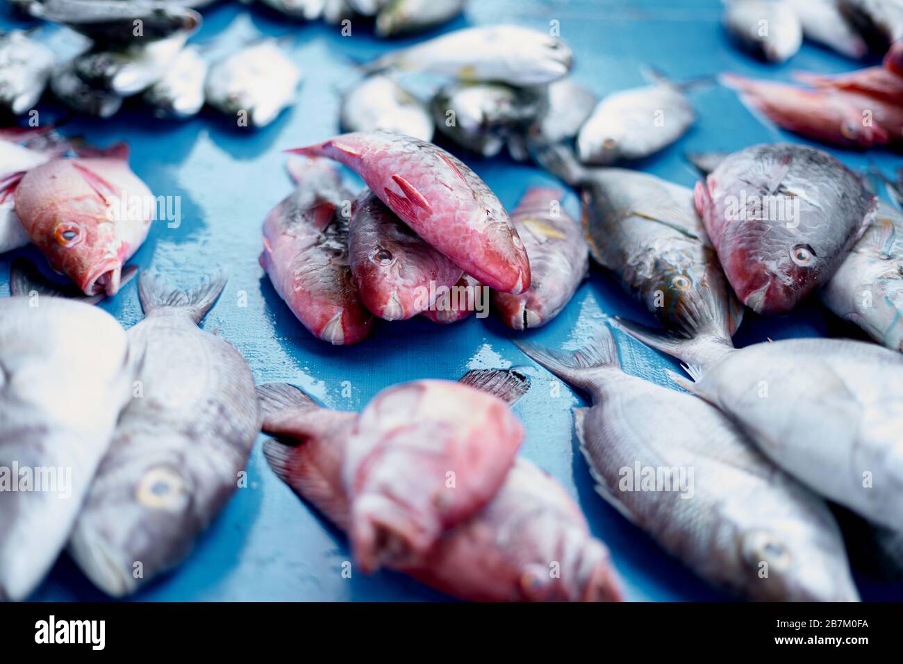 Stack of Fresh fish for sale at local seafood market Stock Photo - Alamy