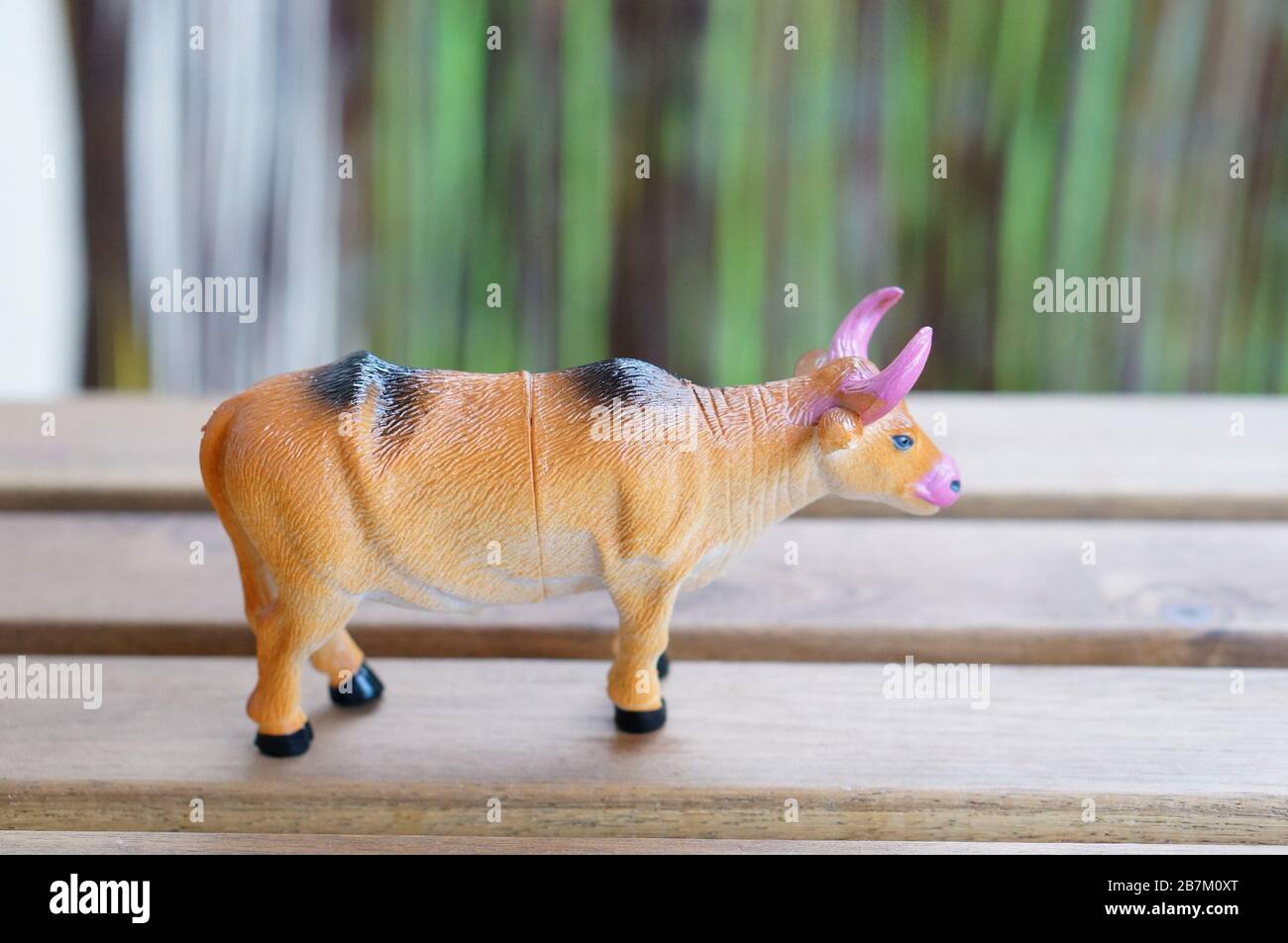 Bull cartoon hi-res stock photography and images - Alamy