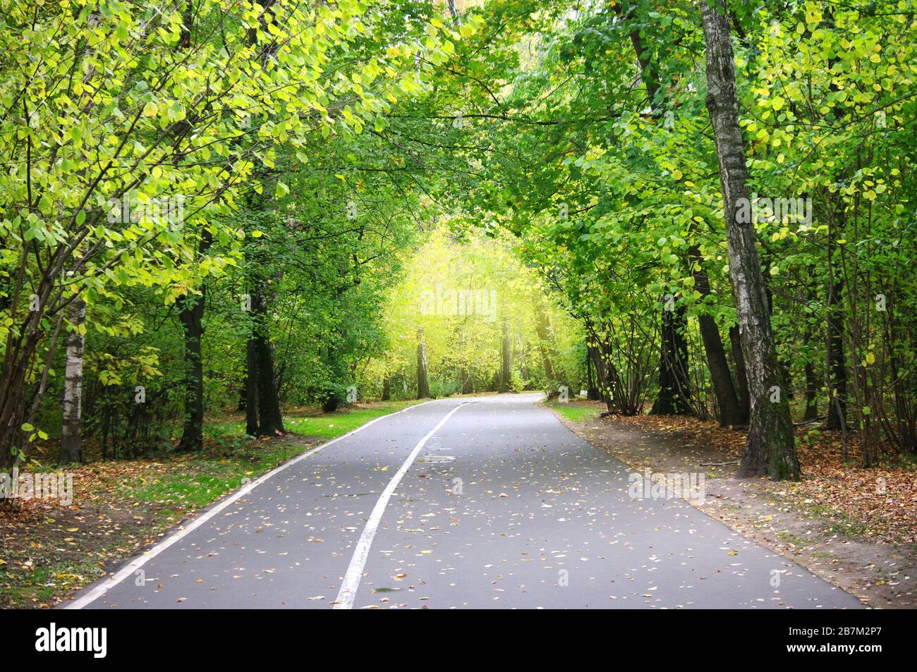 walkway in green park, asphalt road, bicycle route Stock Photo - Alamy