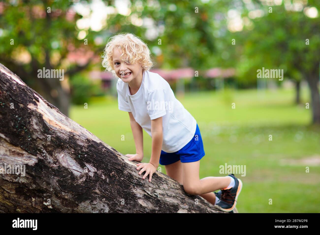 Kids climb tree in summer park. Child climbing. Adventure for young ...