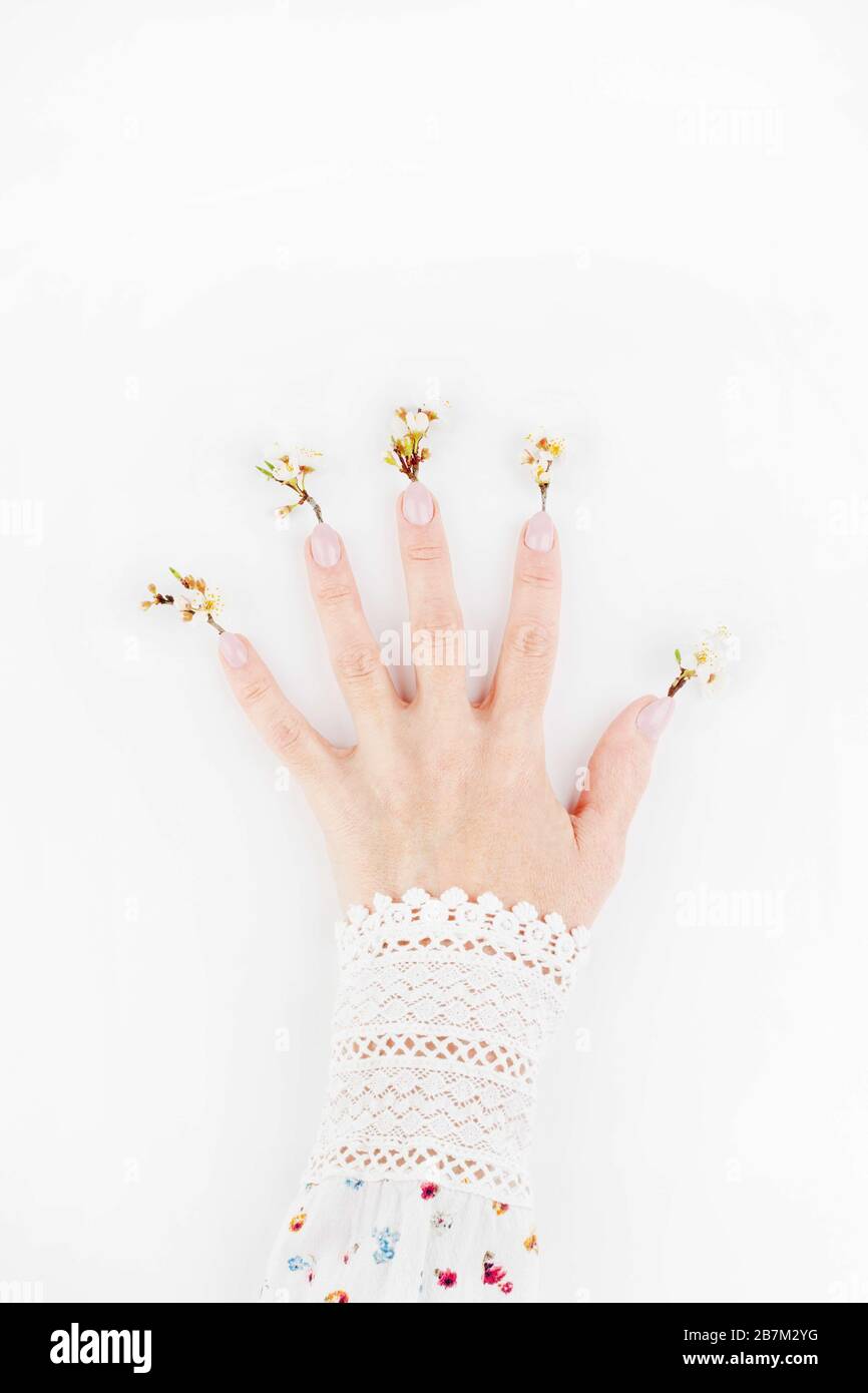 Female hand with blooming spring twigs growing out of fingers on a ...