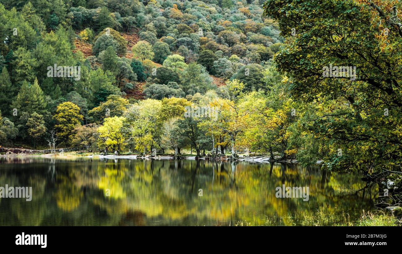 Green, and reflections in England's largest National Park, The Lake ...