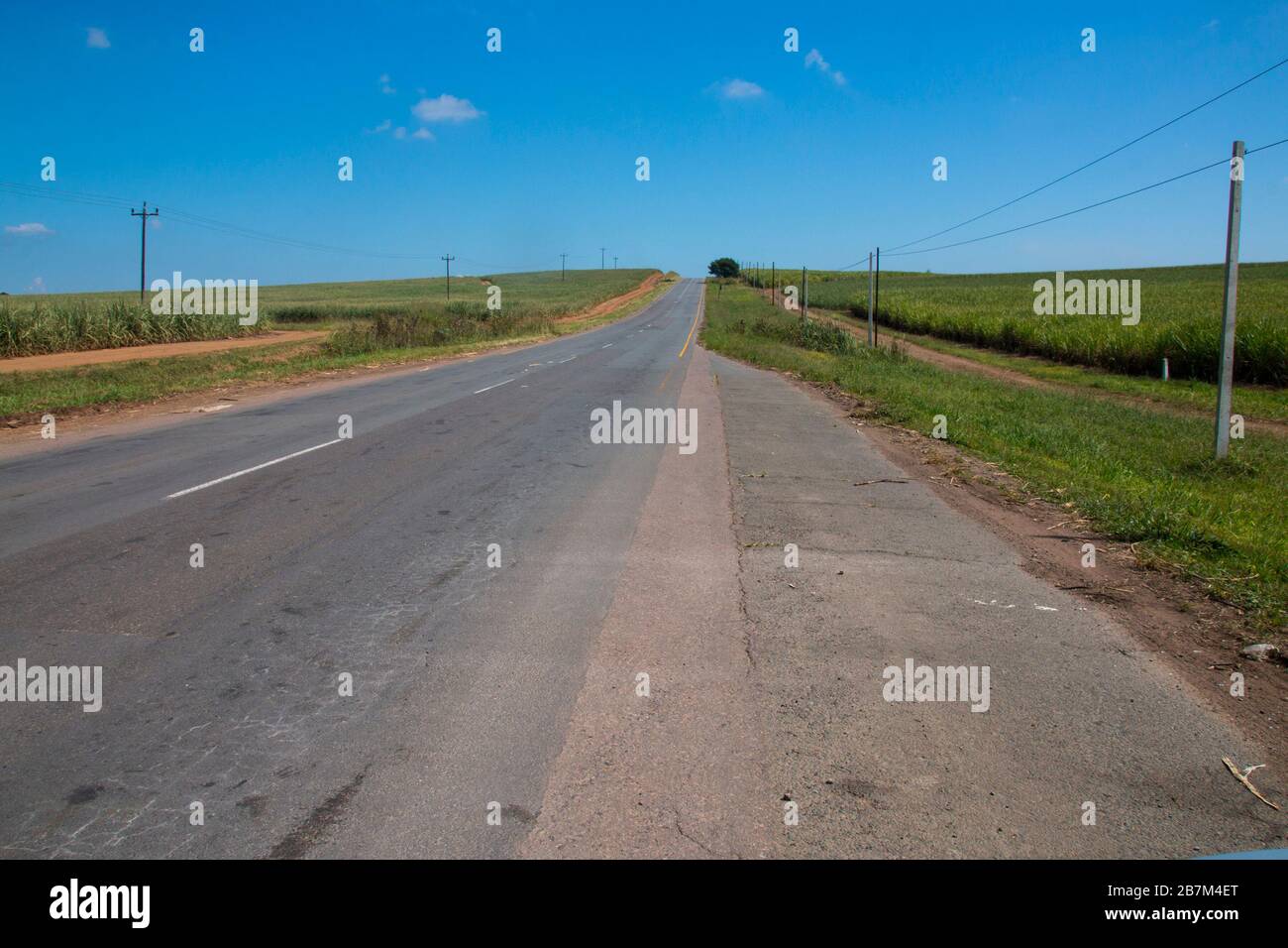 Long bitumen road bordered by sugar cane and electricity poles Stock ...