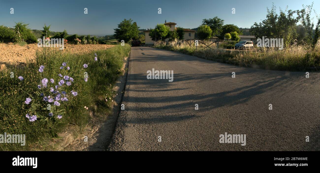 Rural roadside scene in Tuscany, region of Florence Stock Photo - Alamy