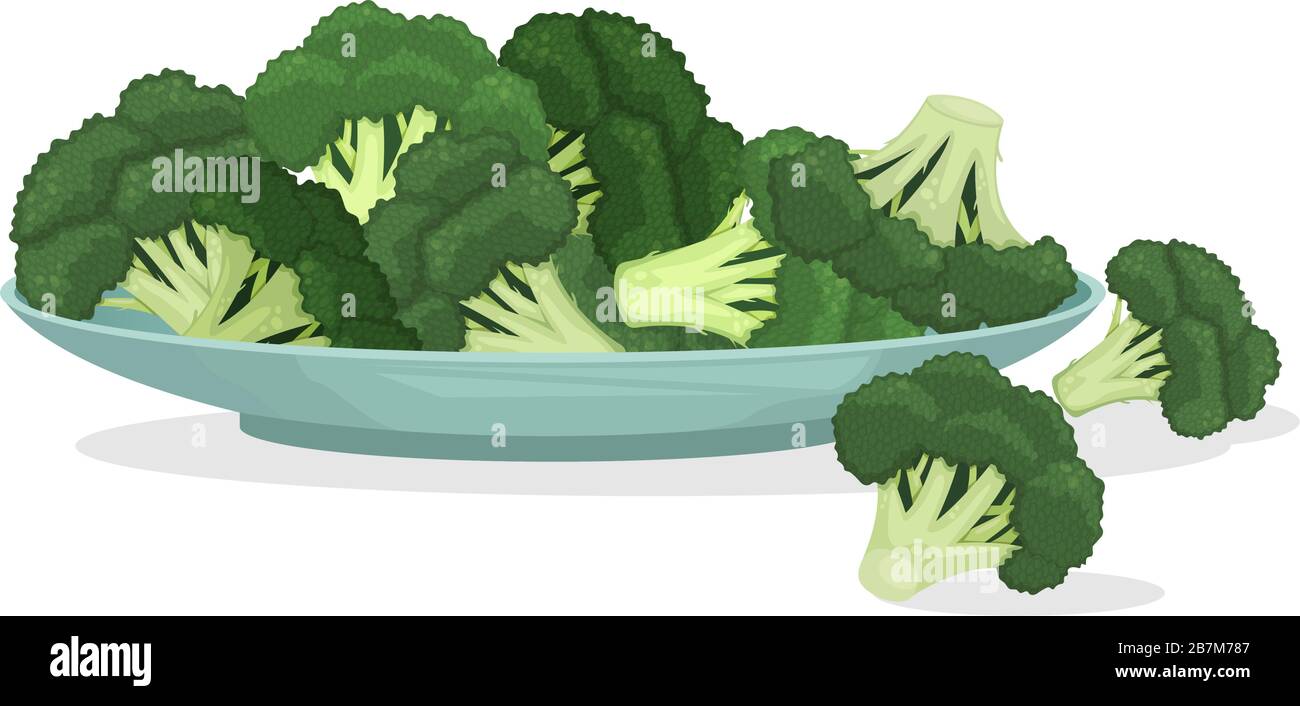 A plate with green broccoli. Healthy food, vegetarianism. Isolated flat ...